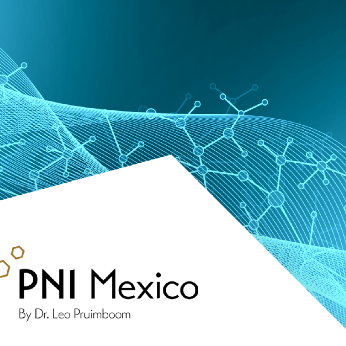 PNI Mexico | los fundadores de la PNIc